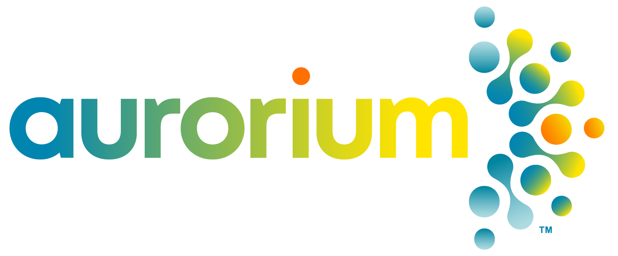 How Aurorium uses Planful AI - Planful